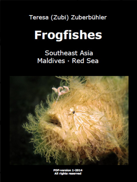 Marine life identification sources online – Diving Around